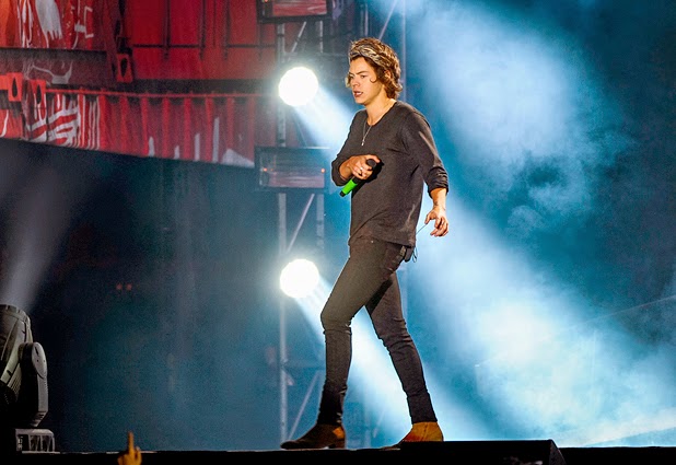 One Direction Girls ♥: Concierto en Santiago de Chile.-Where We Are ...