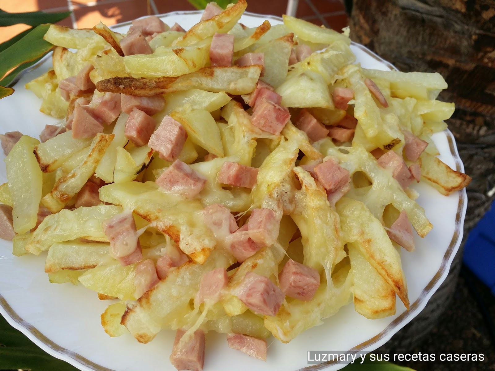 Luzmary y sus recetas caseras: PAPAS FRITAS CON JAMÓN DE PAVO Y QUESO ...