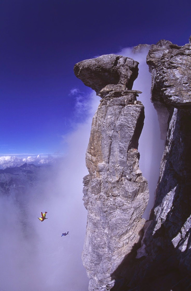 Wings, Pilz, Eiger, Switzerland