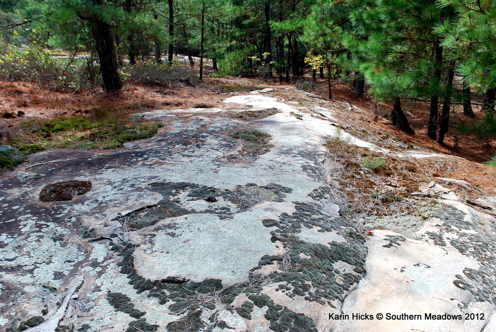 Exploring a Granite Outcrop