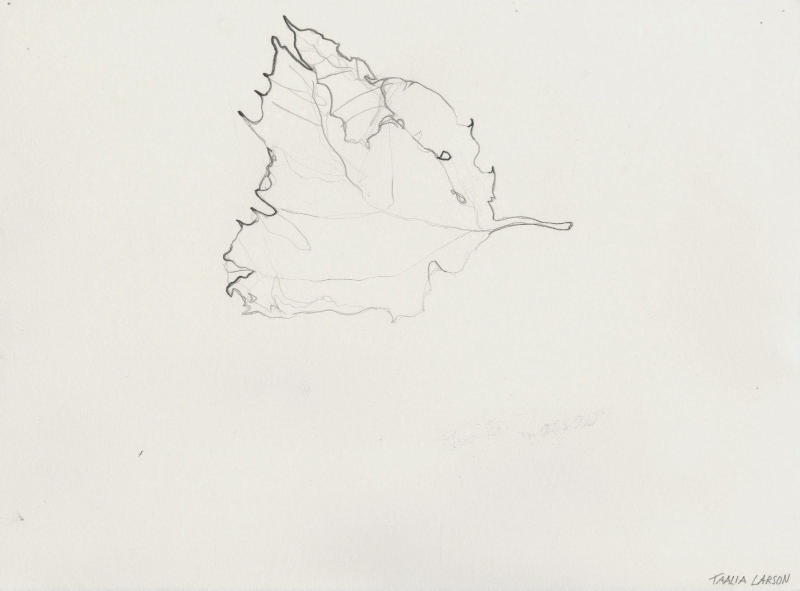 Introduction to the Studio: Taalia Larson - Leaf Contour Drawing