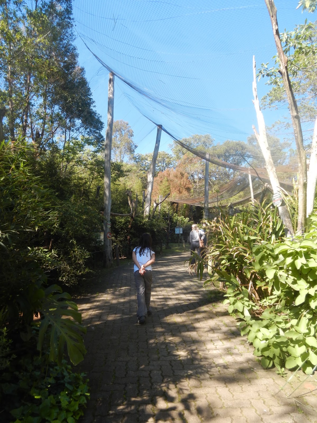 Pra lá que eu fui: Gramado zoo e Parque Gaúcho. Passeio com crianças.