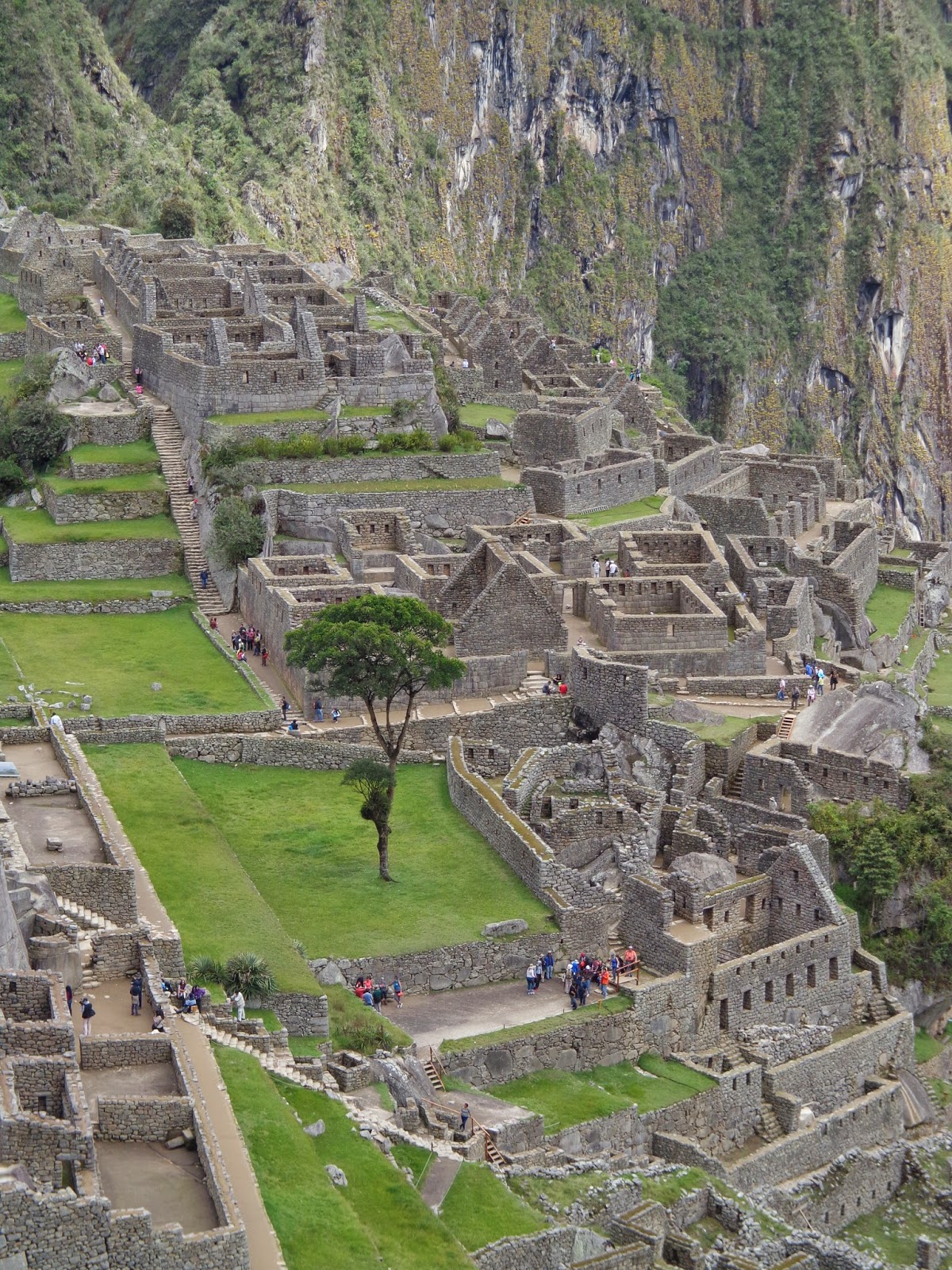 Paisajes y Jardines: Machu Picchu
