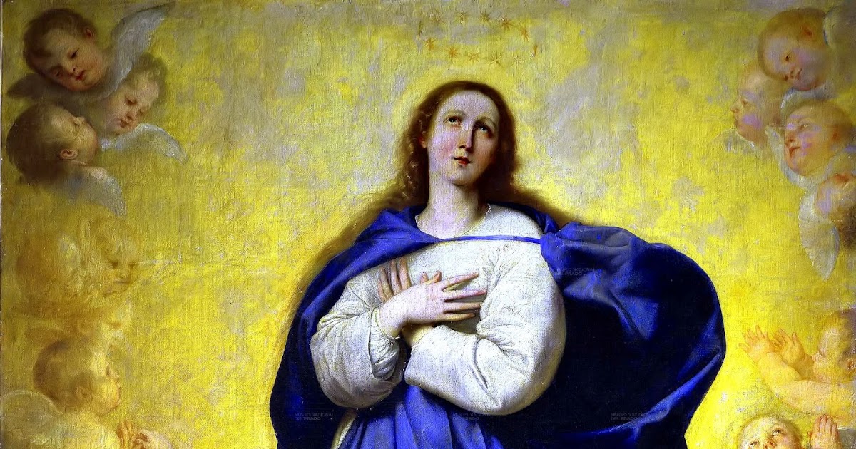 A Catholic Life: Novena to our Lady of the Immaculate Conception