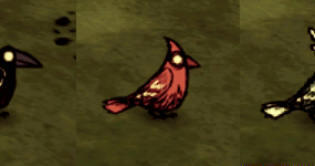 Don't Starve Together: Canlı - Kuşlar