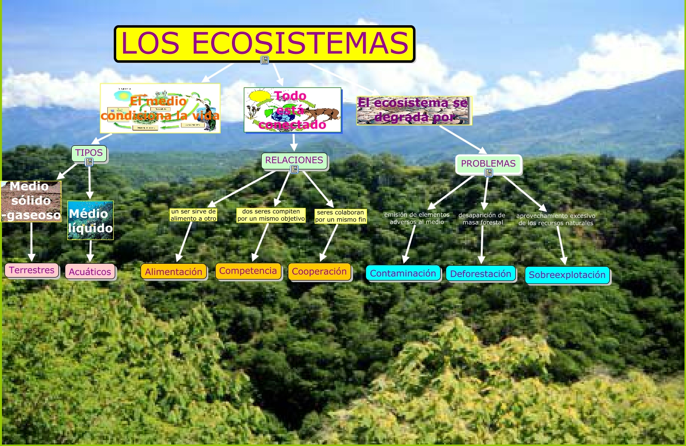 Ser vivo: Resultante interacción genoma-ambiente: MEDIO AMBIENTE Ser vivo: Resultante interacción genoma-ambiente: MEDIO AMBIENTE