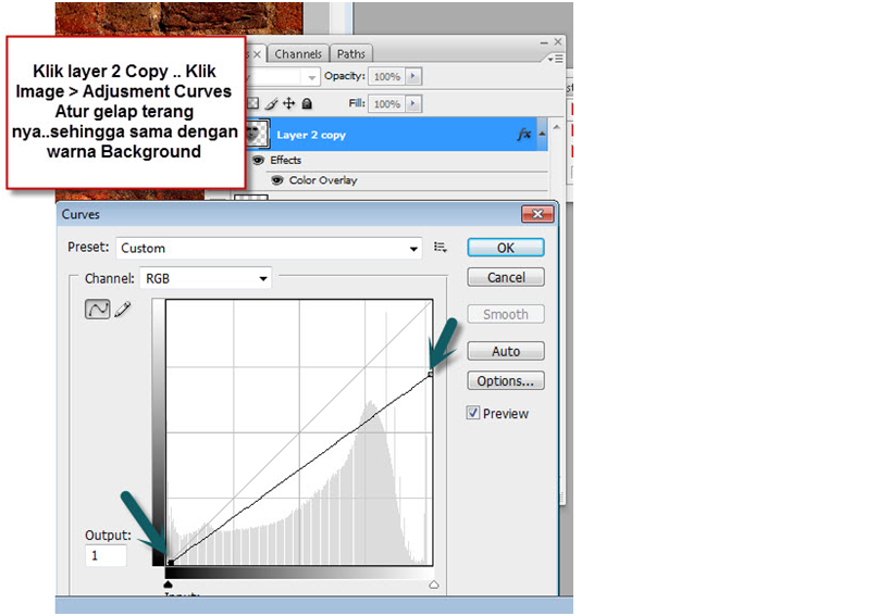 Edit Foto dengan Efek Bunglon di Photoshop ~ Graphic in Design