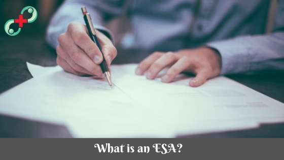 How to obtain ESA letter?