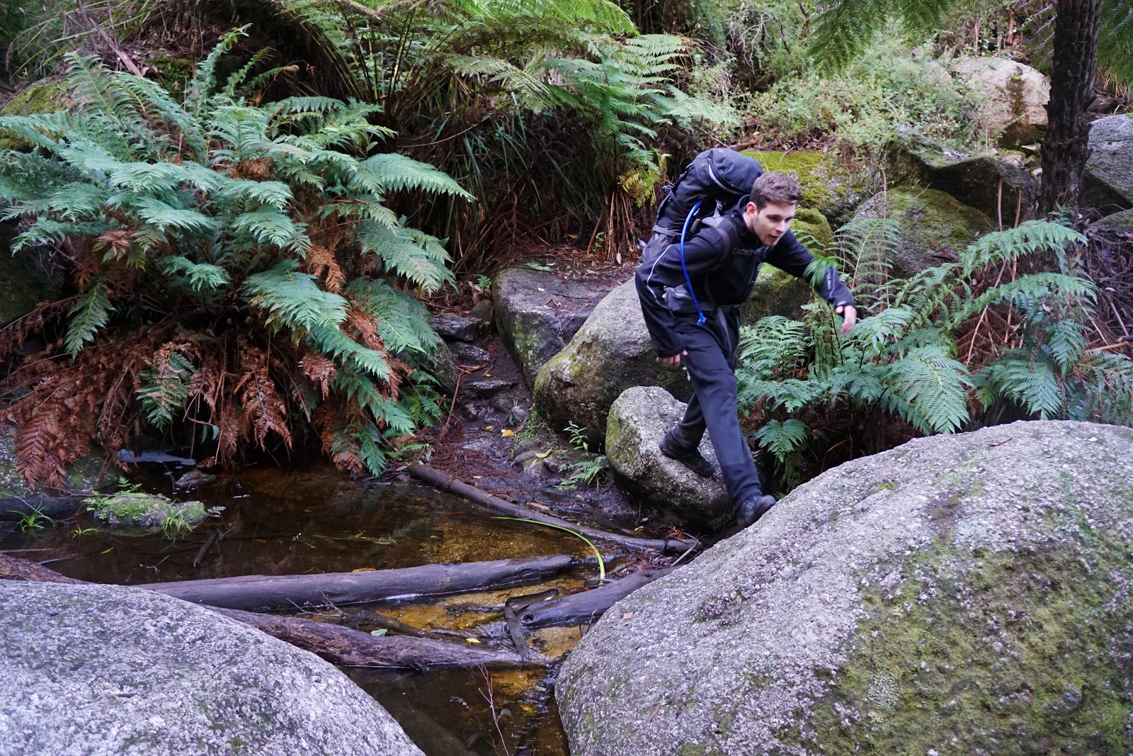 Wilsons Promontory Southern Circuit (VIC) - Sealers Cove to Little ...