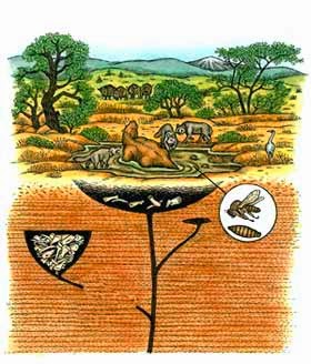 Every Day Is Special: August 3 – Anniversary of the "Discovery" of the ...