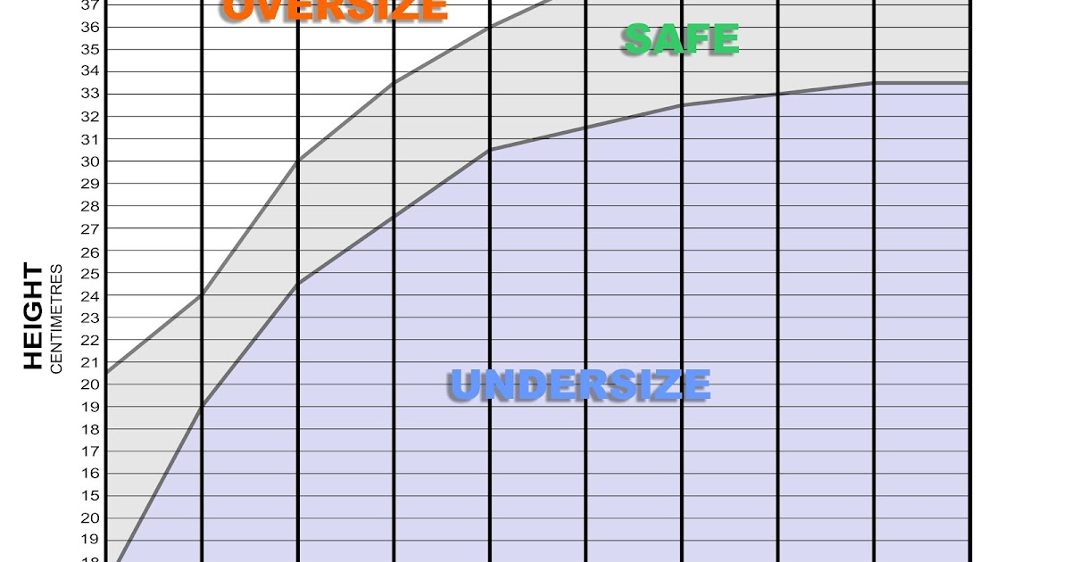 Chuckleberry Finn: Sheltie sizes