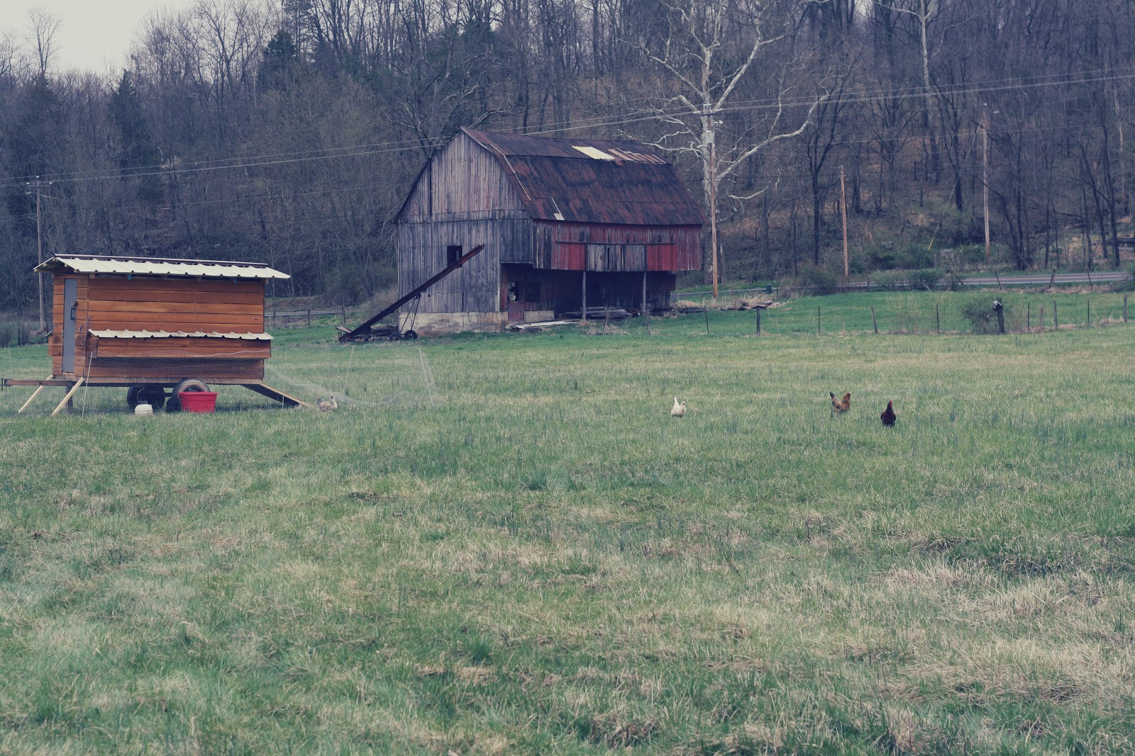 Mama Make It!!: The most amazing chicken house!