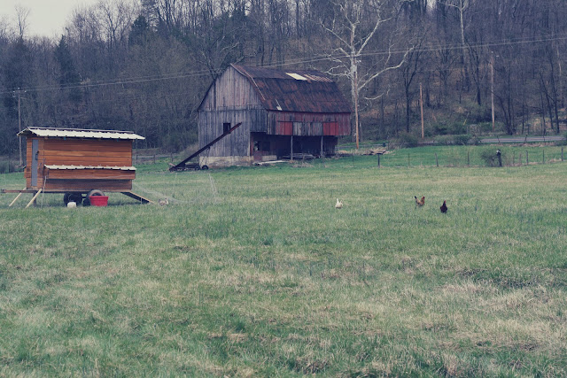 Mama Make It!!: The most amazing chicken house!