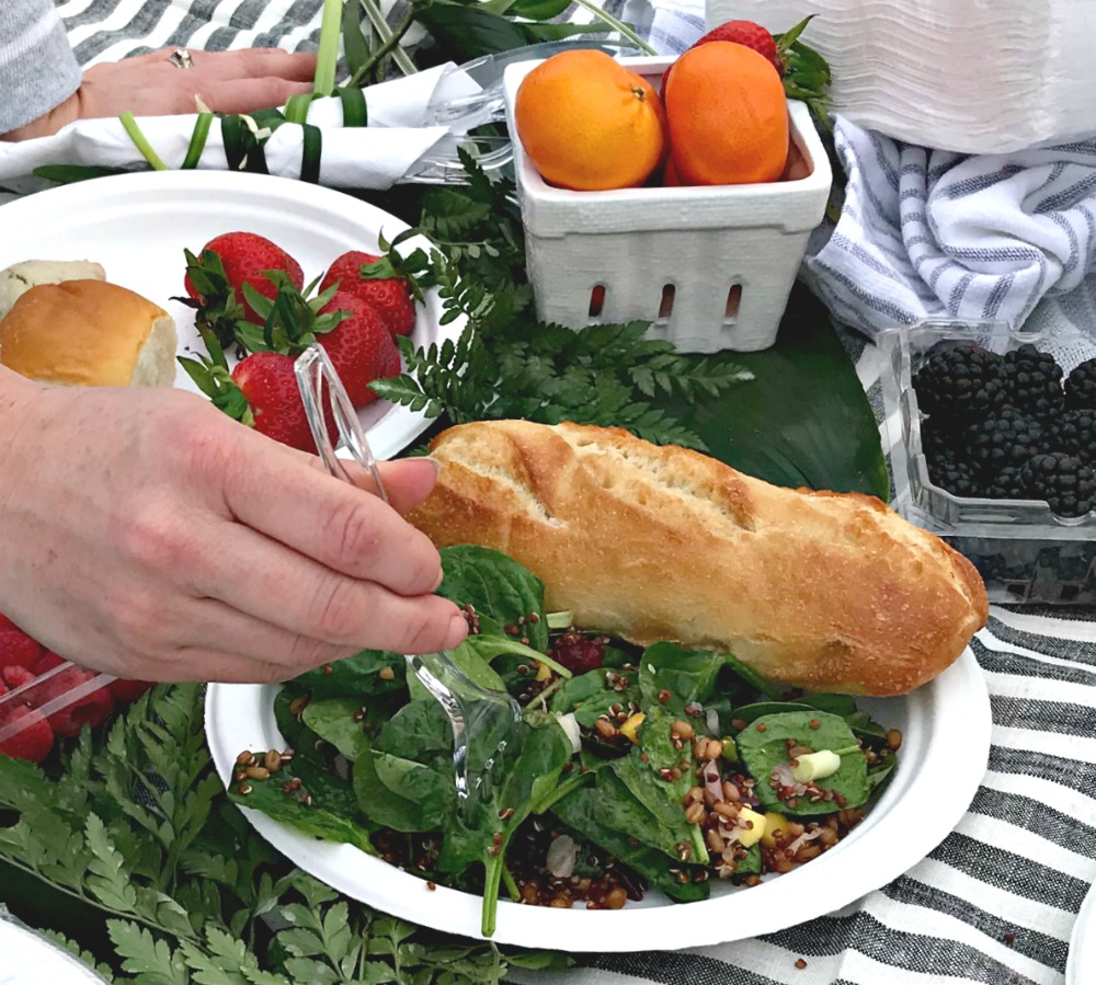 How to Plan the Perfect Beach Picnic