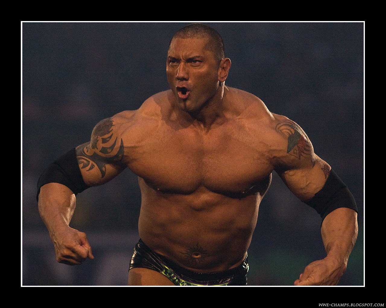 WWE CHAMPS: 'THE ANIMAL' DAVE BATISTA BOMB