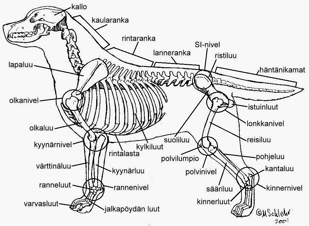 Tarumaisia tapahtumia - blogi: Yrityksiä tasapainon saavuttamiseksi