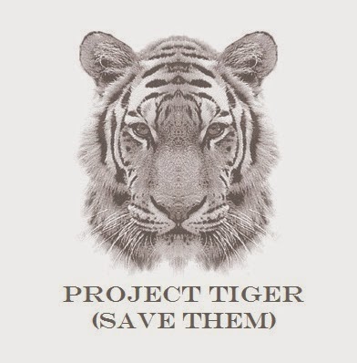 Home for Homeless - Project Tiger - Save Them: Tiger Facts