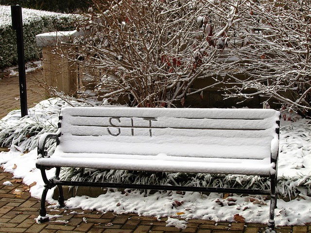 benchsite: Frozen! Ice cold benches from Snowvenia