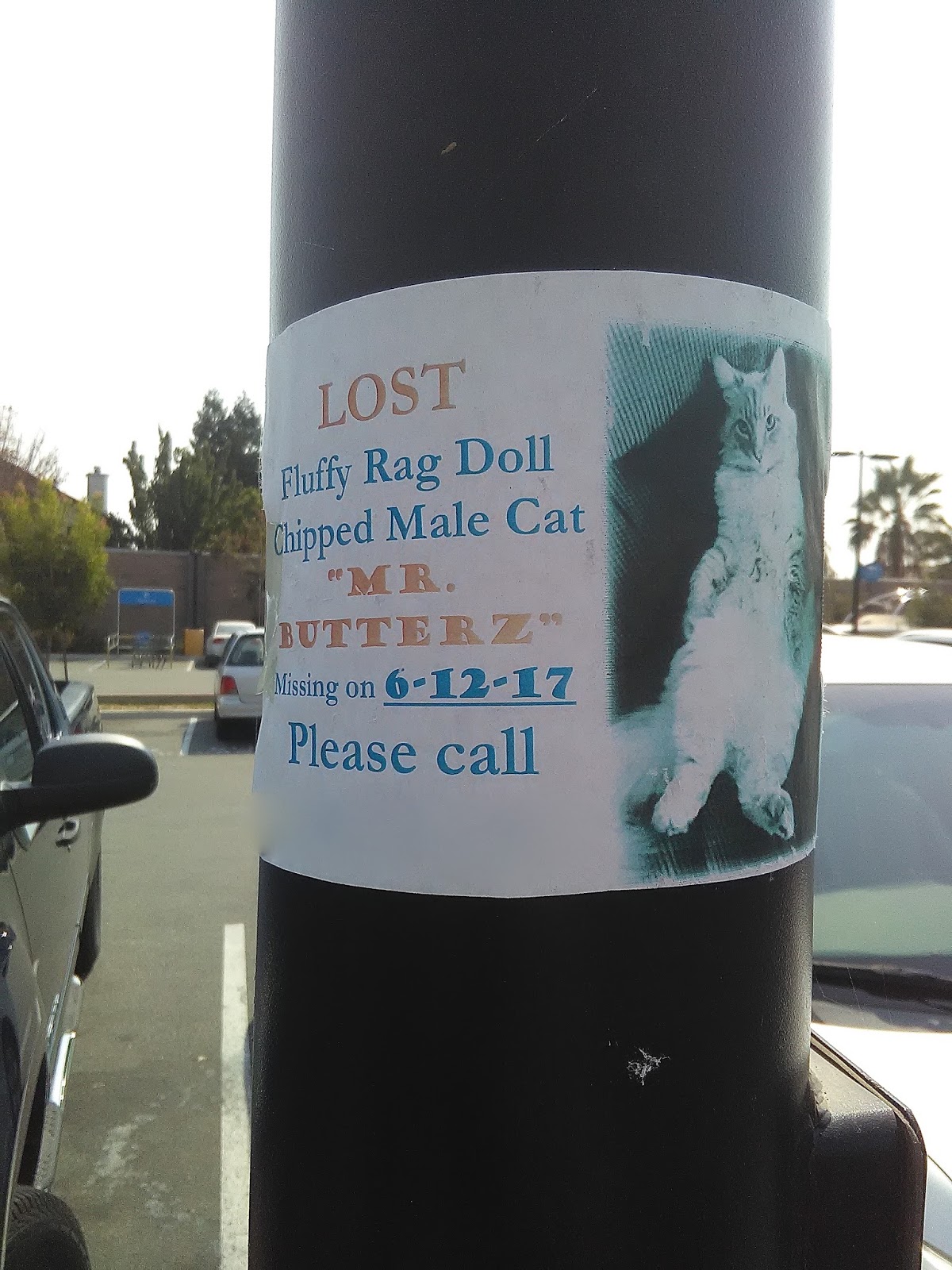 Daily Timewaster He Ran Away Because He Couldn t Stand His Name daily-timewaster-he-ran-away-because-he-couldn-t-stand-his-name