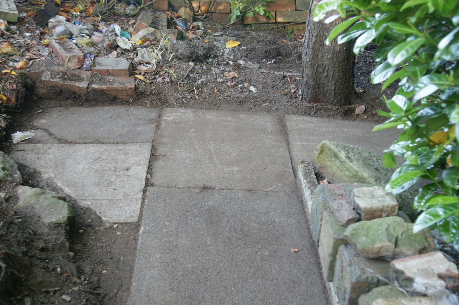 All Things Home Grown: Path Clearances