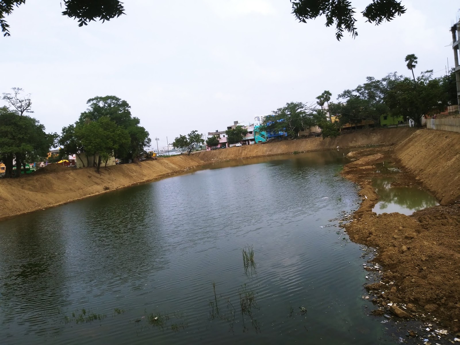 Temple Pond of Narayanapuram (Waterbodies of Chennai - 45)