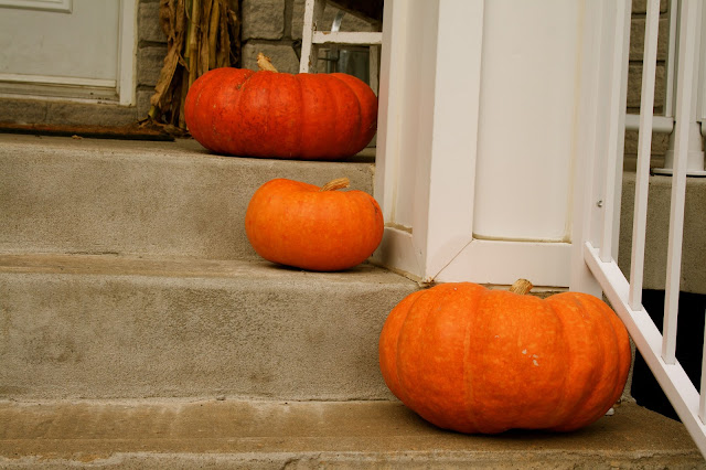 Experience the Wonderful.: oh...hello fall.