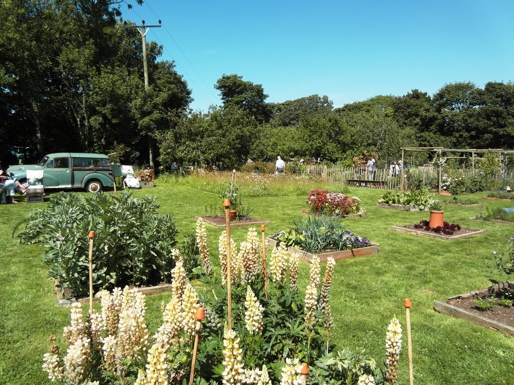 Niki Fretwell: Trevoole Farm