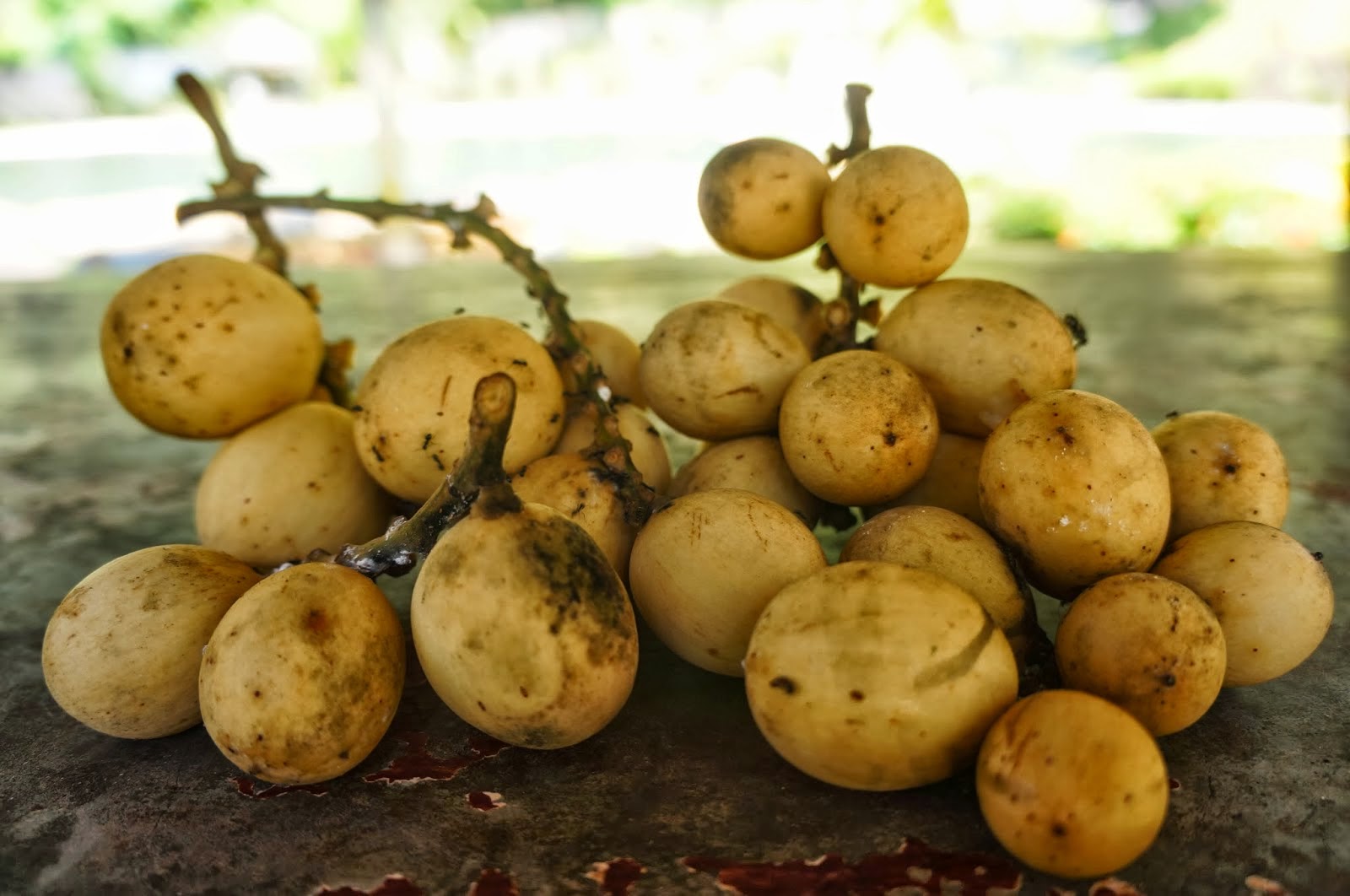 It's More Fun in Davao City: The Best Fruits in Davao City