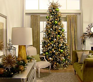 * T h e * V i s u a l * V a m p *: The Most Beautiful