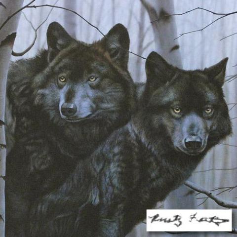 White Wolf : Rusty Frentner: talented wildlife artist from America's ...