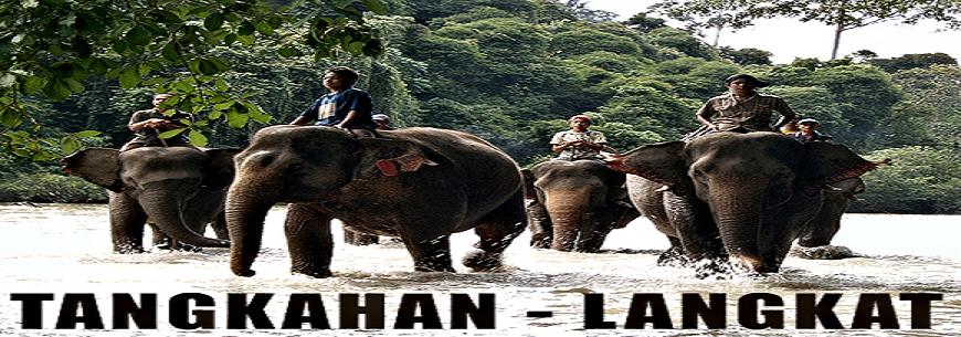 Attractions in Langkat and North Sumatra: Eco Tourism Tangkahan