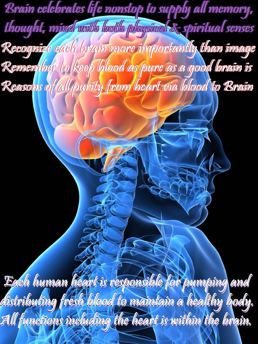 Brain Is The Conscience & GPS In Life: 2012