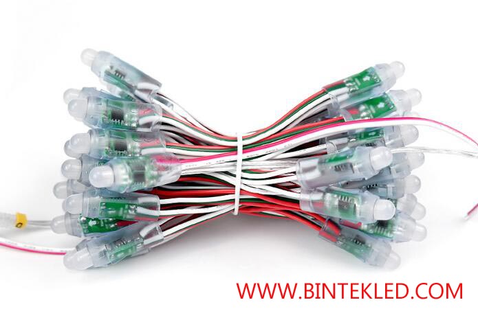 BintekLED.com: RGB LED Pixel Strings/Nodes