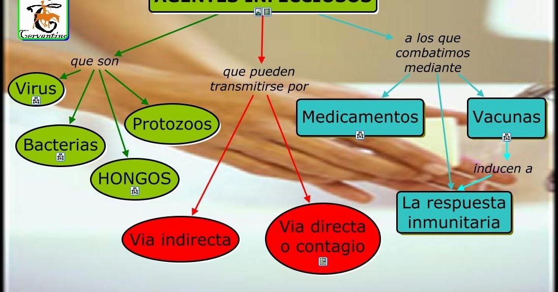 Ciencias del mundo contemporáneo: Tema 3. Agentes infecciosos.