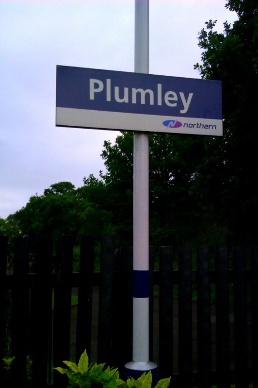 Good gobble!: The Golden Pheasant at Plumley