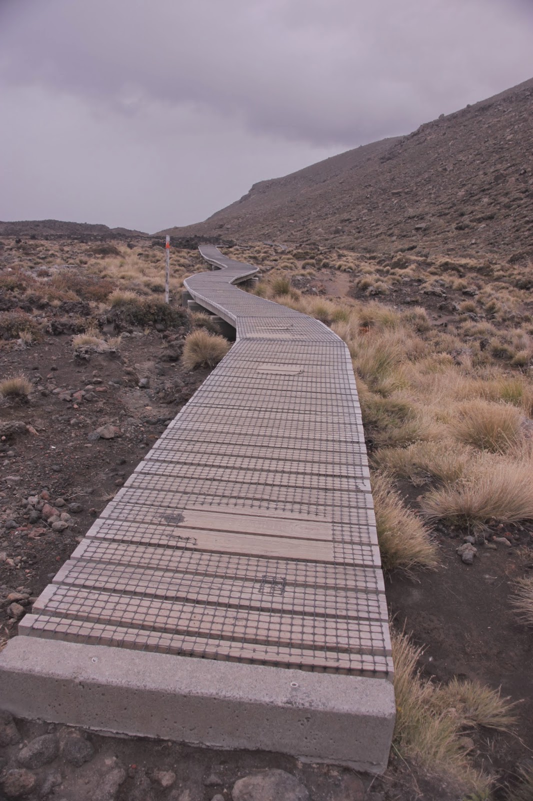 The Cynical Sailor & His Salty Sidekick: Going For A Walk: Tongariro ...