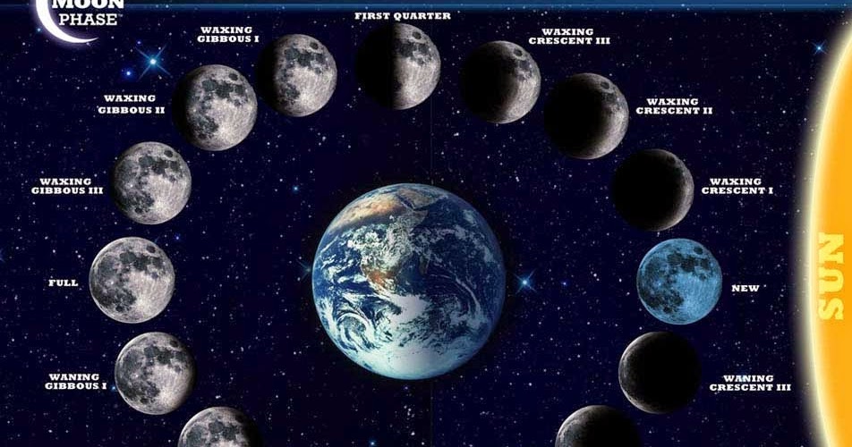 SOCIAL SCIENCE: THE UNIVERSE AND THE EARTH.