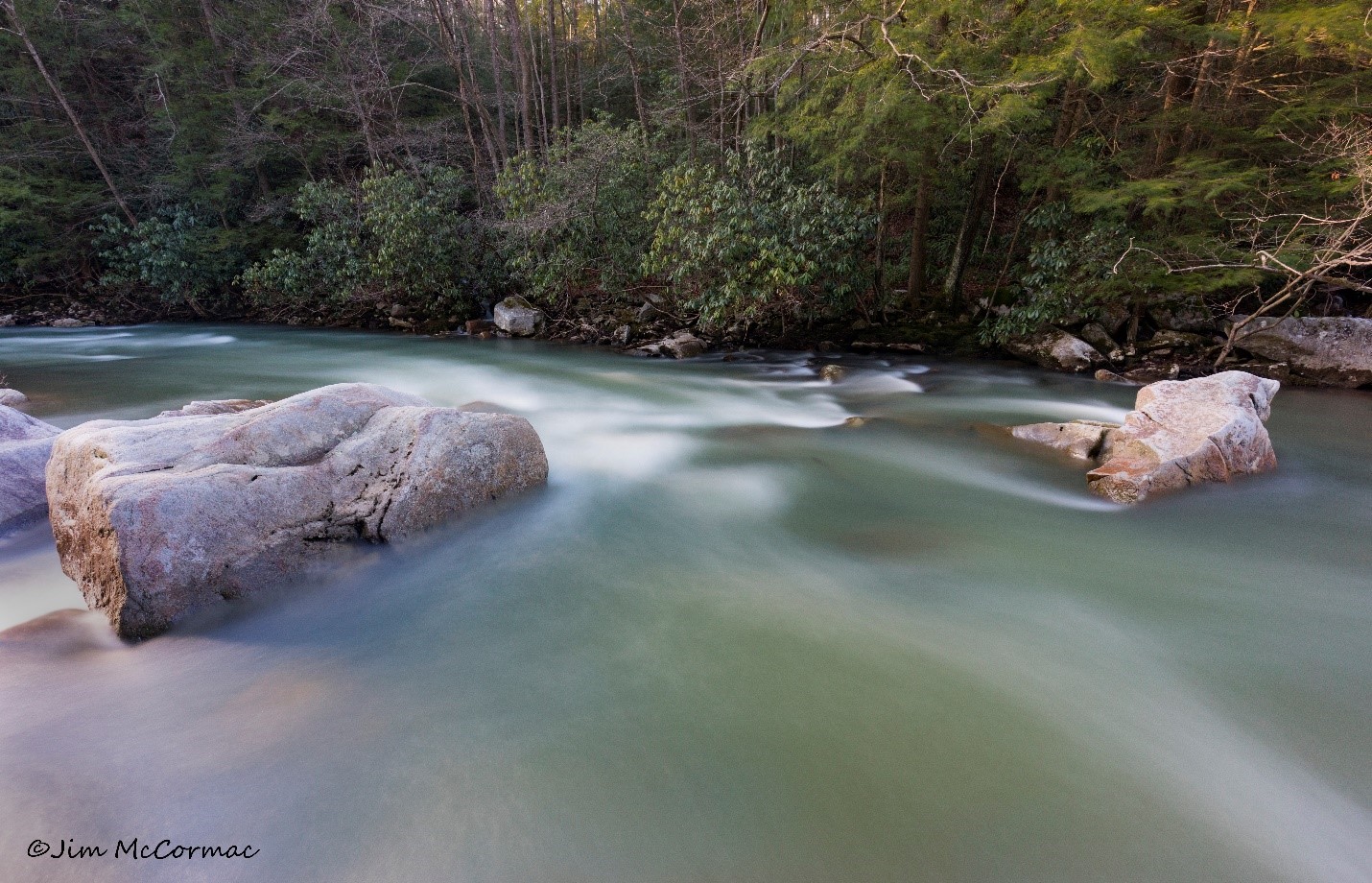 Ohio Birds and Biodiversity: April 2018