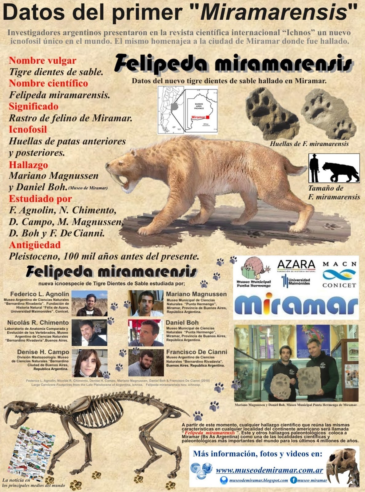 Museo Municipal "Punta Hermengo" de Miramar.: Scientists find the ...