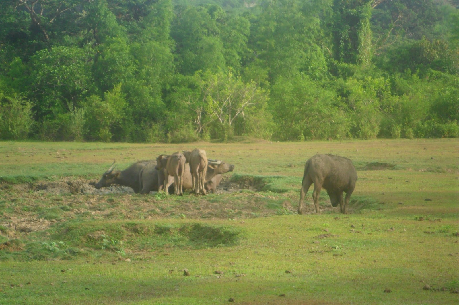 Dince's Chronicles: MT. NAGPATONG AND THE BONIFACIO HISTORICAL ...