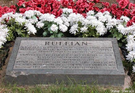 Keep Turning Left!: Ruffian