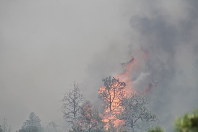 Colorado Emergency Management: Four Mile Canyon Fire Update