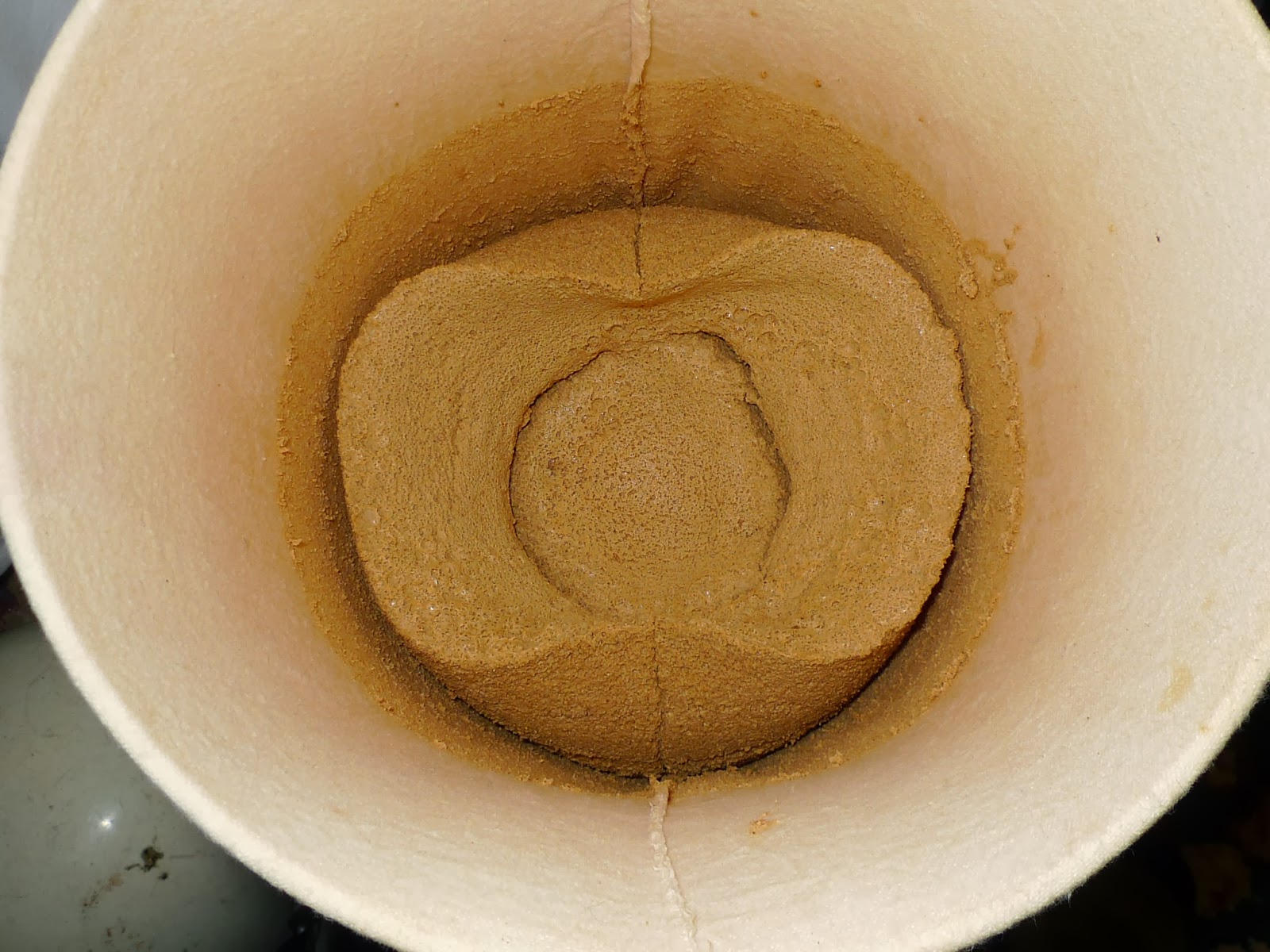 Wild Harvests: Percolation leaching Red Oak acorns