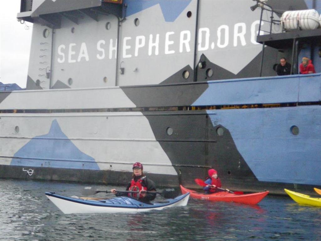 Mackayak: Sea Shepherd