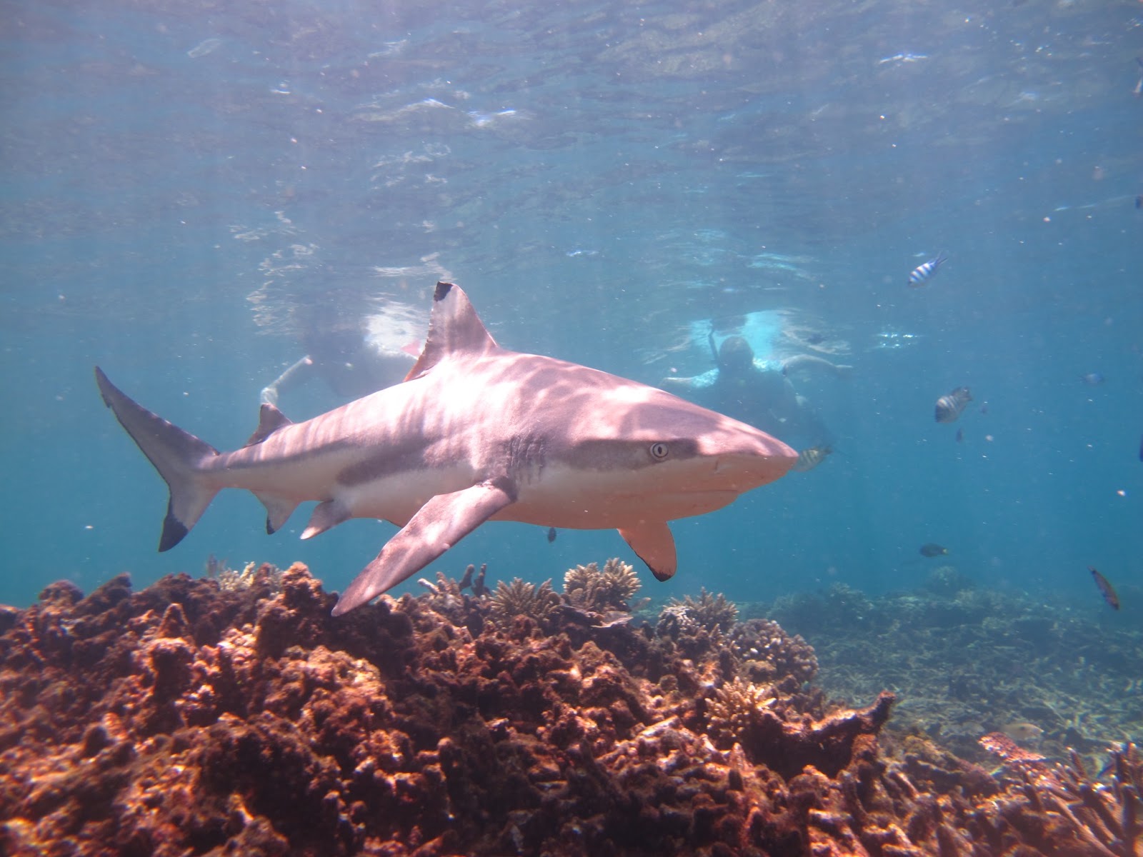 3days 2night Perhentian Package