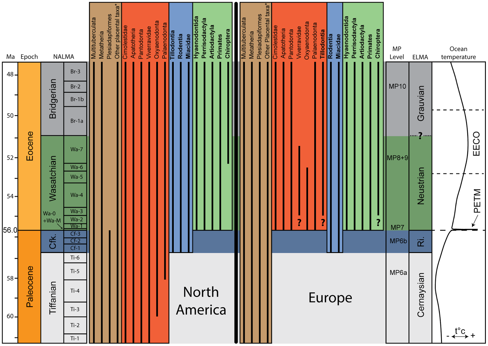 The Dragon's Tales: First Clarkforkian Equivalent Land Mammal Age Found ...