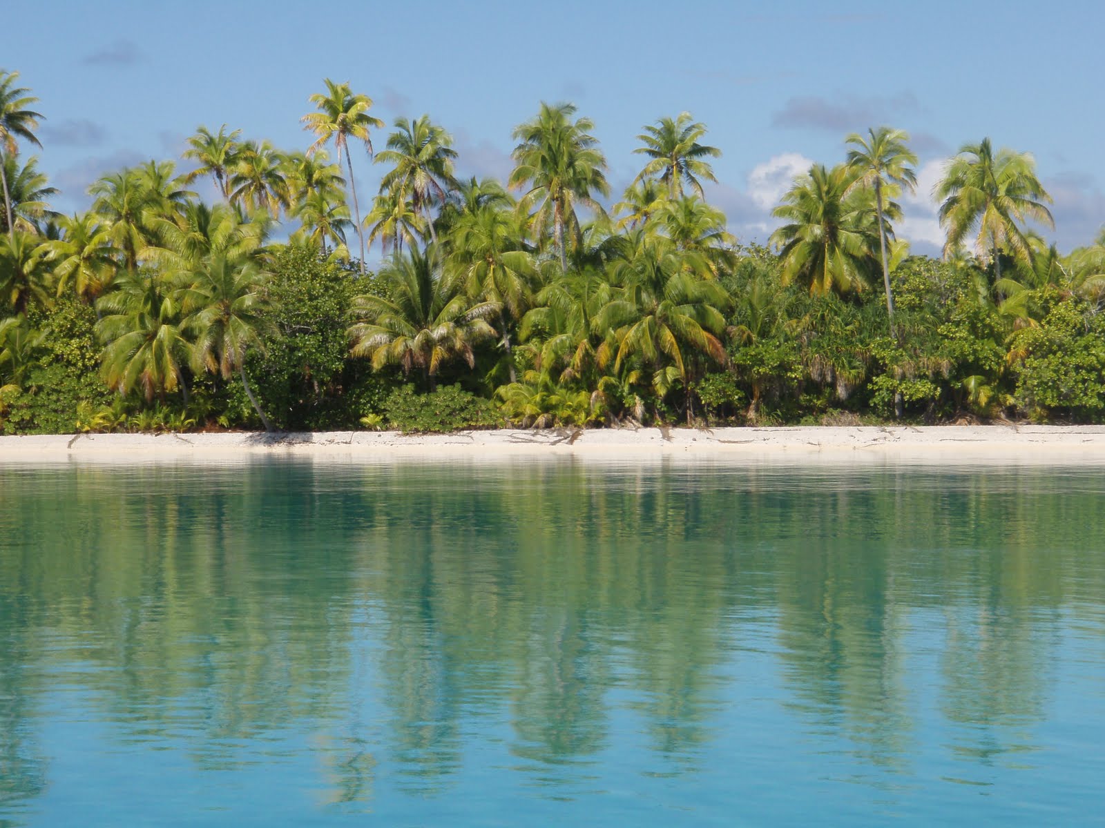 Trautz' travel saga: YOLO in Tahanea Tuamotus