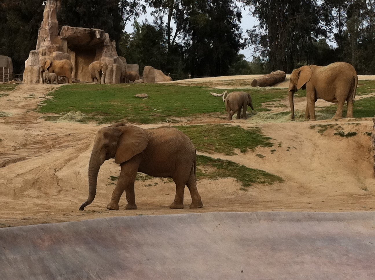 My Little Artichoke Wild Animal Park my-little-artichoke-wild-animal-park