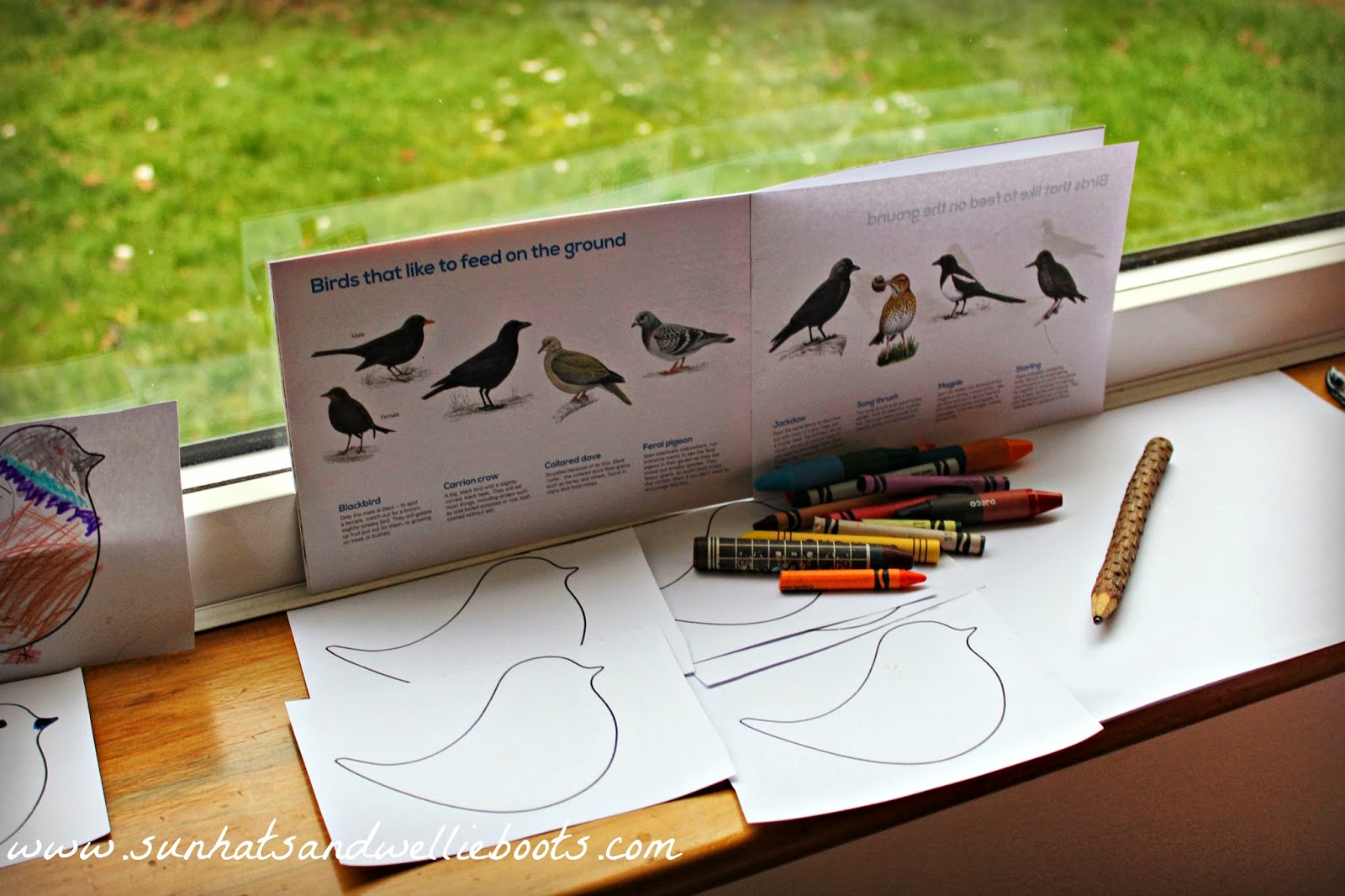 Sun Hats & Wellie Boots: Birdwatching - A Simple Way for Children to ...