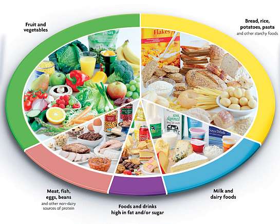 FITNESS TIPS WEIGHT LOSS DIET PLAN FOR DIABETES PATIENTS FITNESS TIPS WEIGHT LOSS DIET PLAN FOR DIABETES PATIENTS